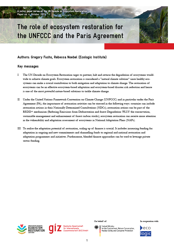 The Role of Ecosystem Restoration for the UNFCCC and the Paris Agreement | Ecologic Institute